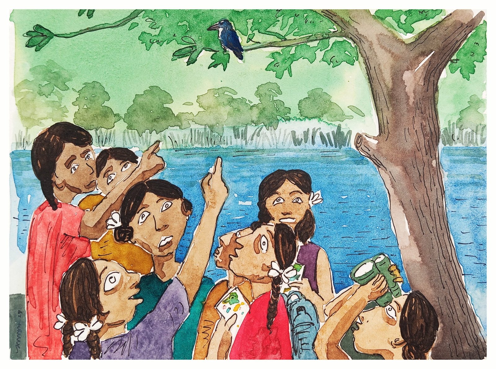 Overview Of School Of Birds – Birdwatchers' Society